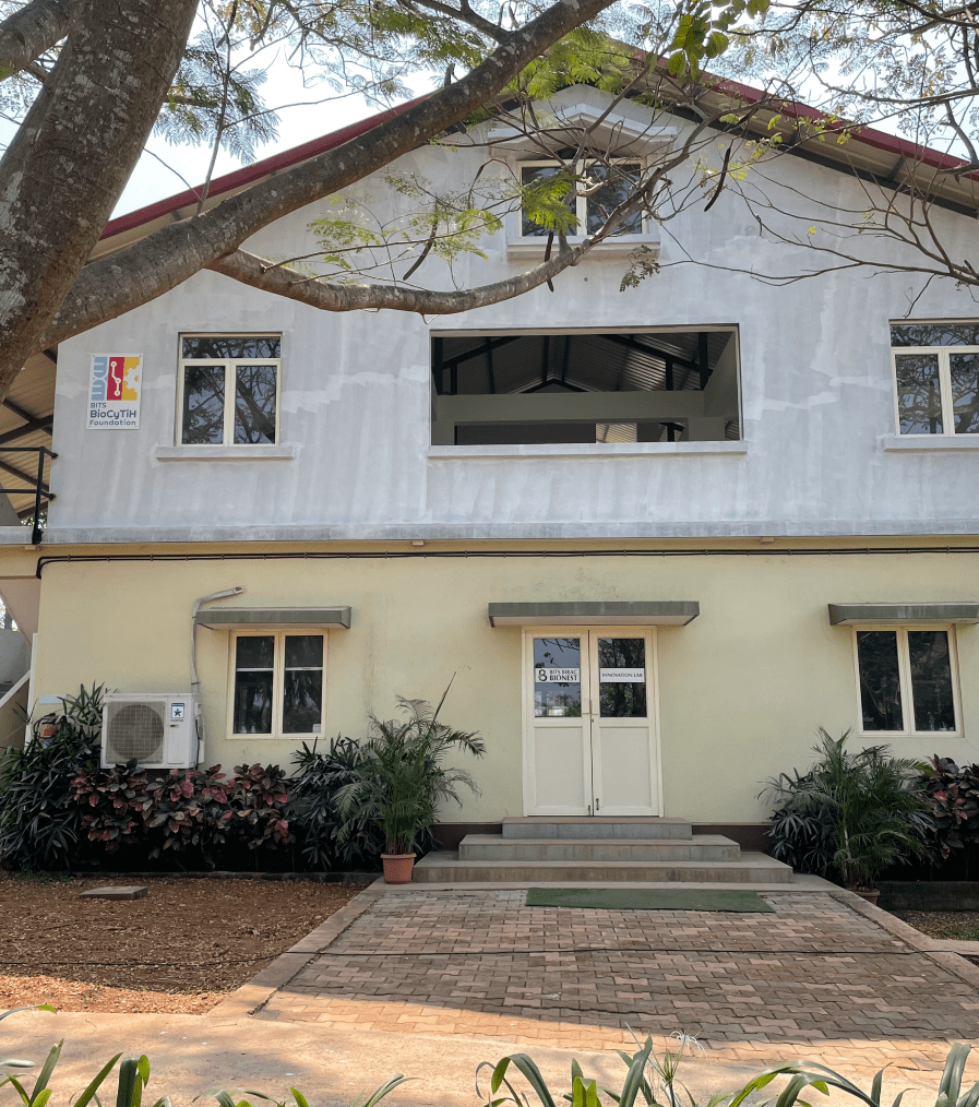 Infrastructure Development – BiocytiH Foundation